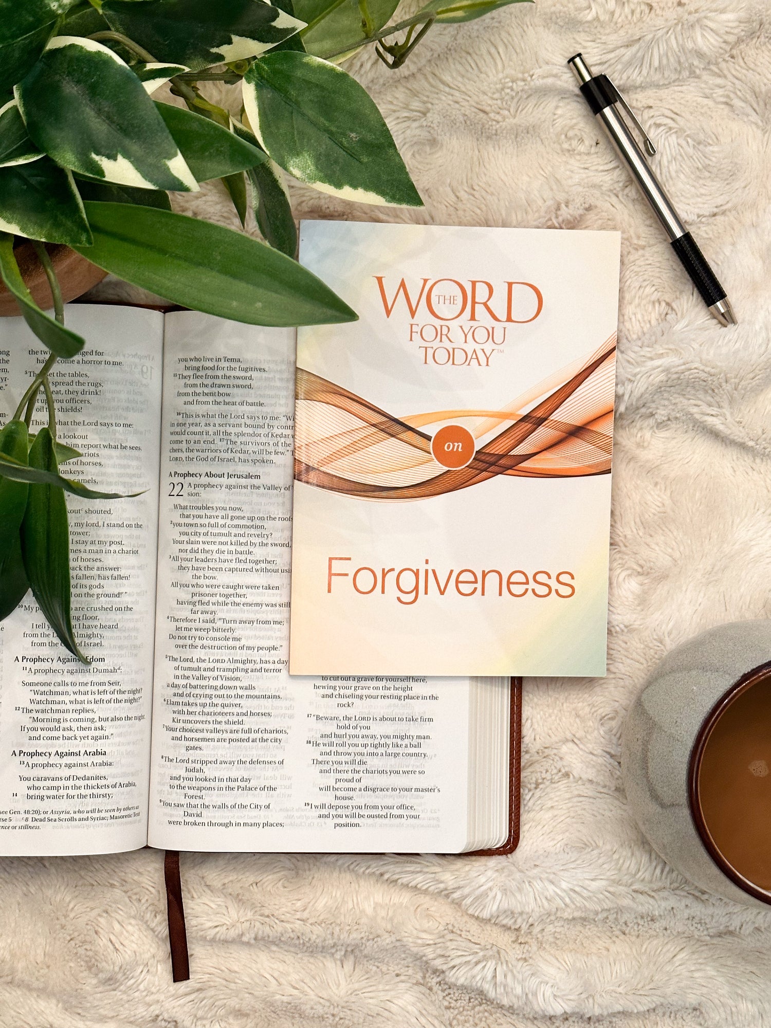 The Word For You Today on Forgiveness – For You Today Shop